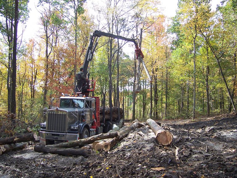 Forest Land Services Inc. – Professional Forest Management Consultants